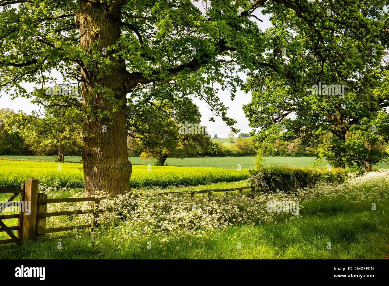 Cotswold Way or the Way public walking paths in South West England ...