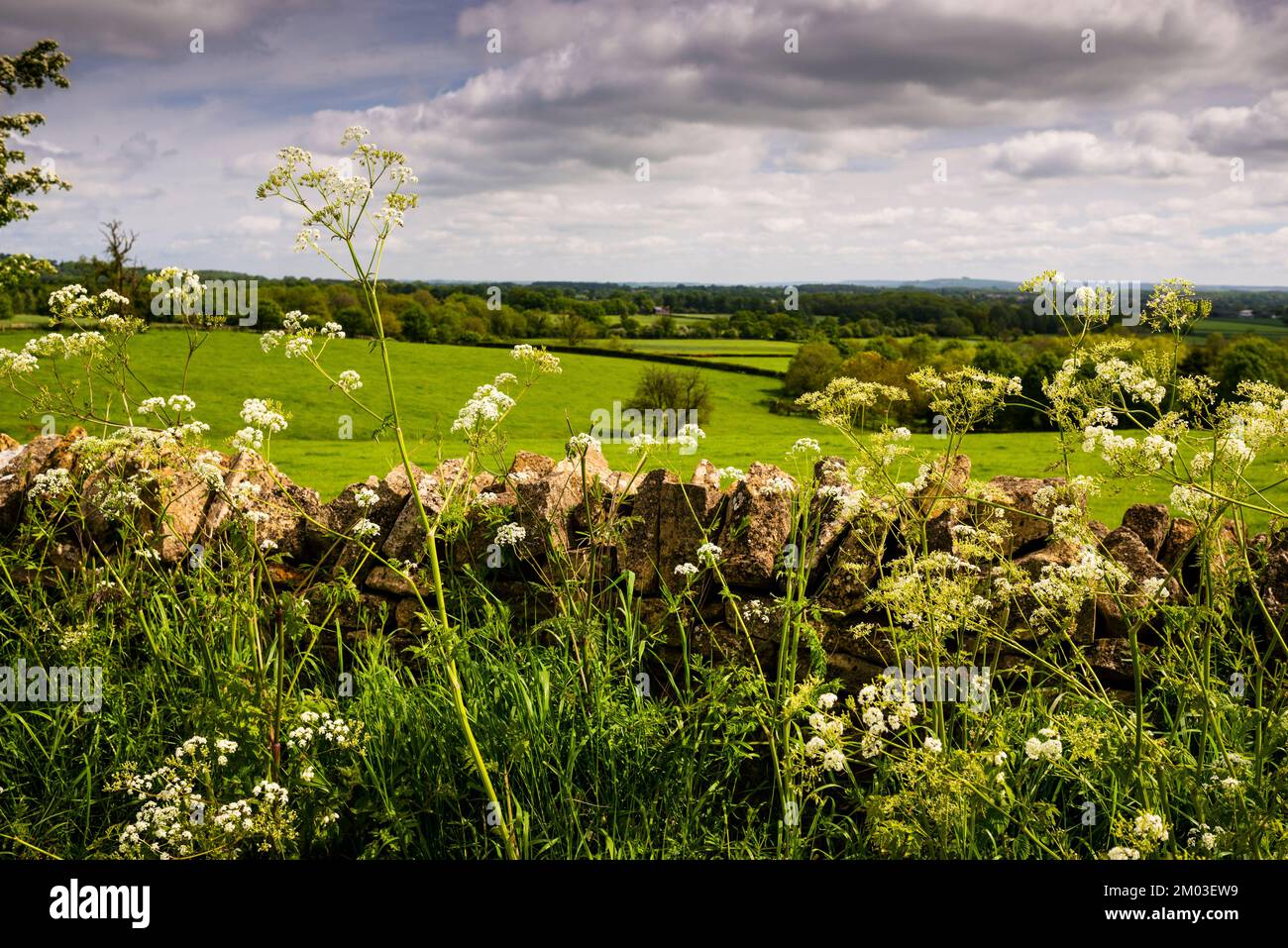 Cotswold National Landscape is a series of walking paths open to the ...