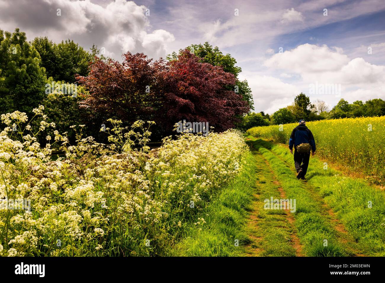 Cotswolds long distance walks hi-res stock photography and images - Alamy