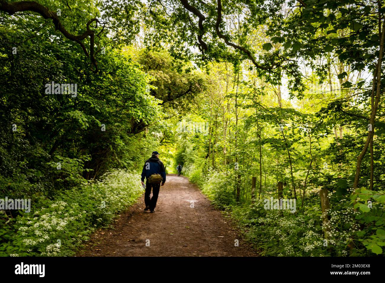 Walkers on the Cotswold Way public footpaths in the Cotswold District ...