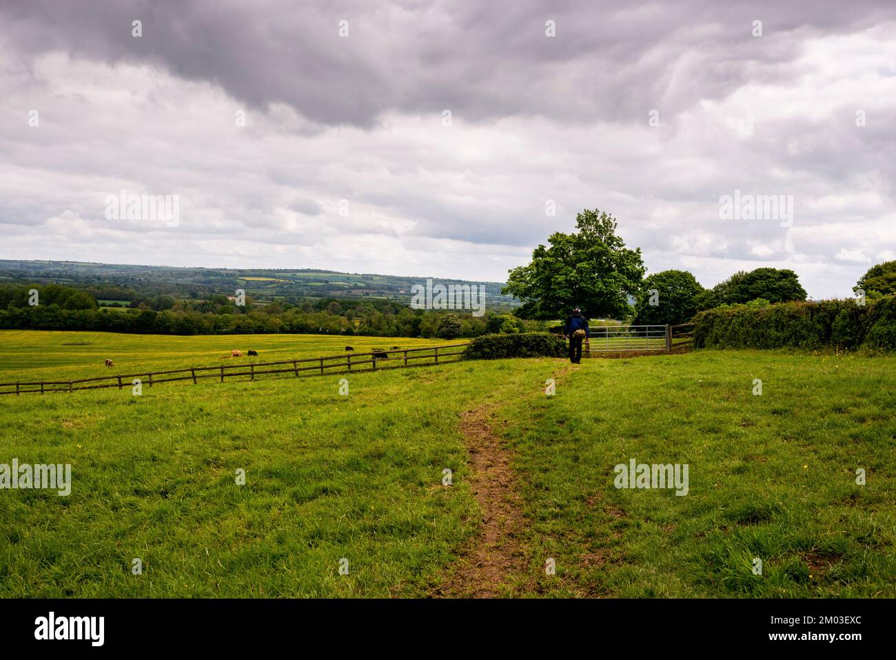 Wide landscapes greet adventurous walkers on the Cotswolds Way public ...