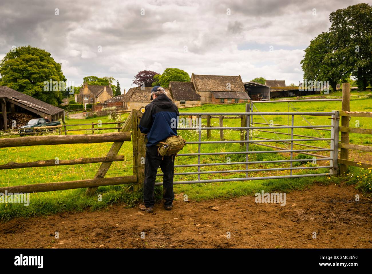 Cotswold Way public path right of way through a bucolic field in South ...