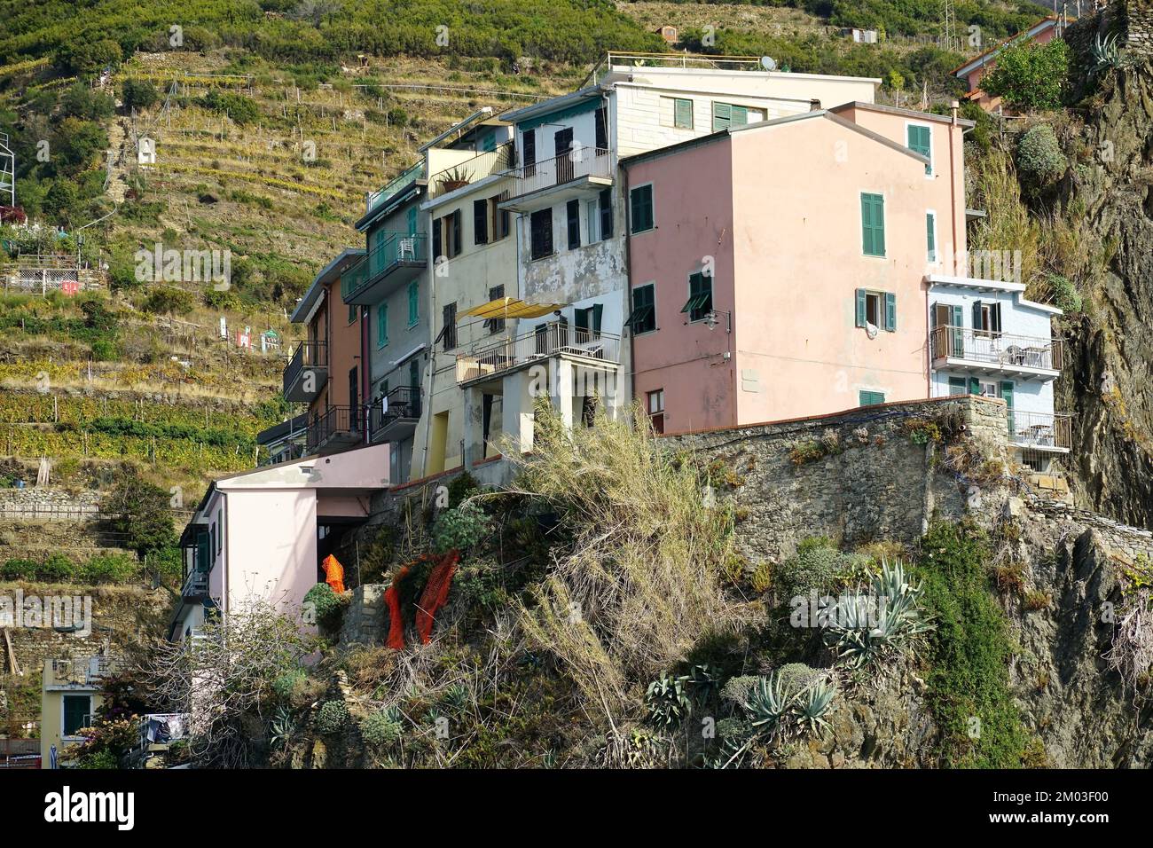 Manarola, Cinque Terre, Liguria, Italy, Europe, UNESCO World Heritage ...