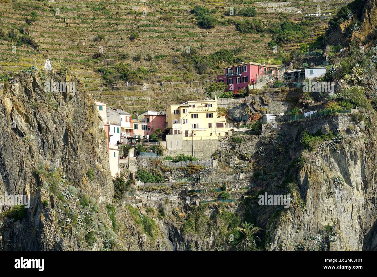 Manarola, Cinque Terre, Liguria, Italy, Europe, UNESCO World Heritage ...