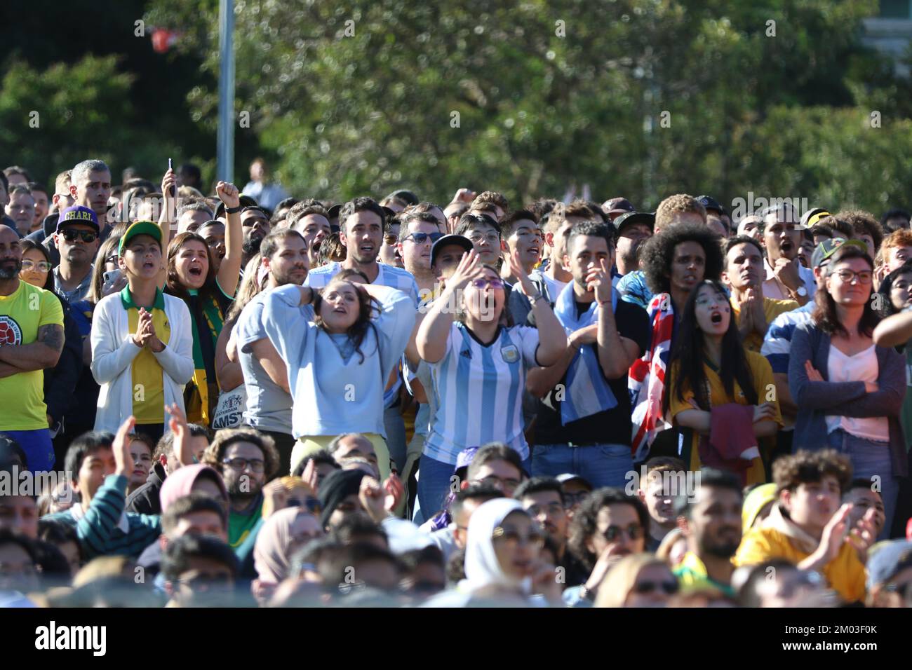 Socceroos fans world cup hi-res stock photography and images - Alamy
