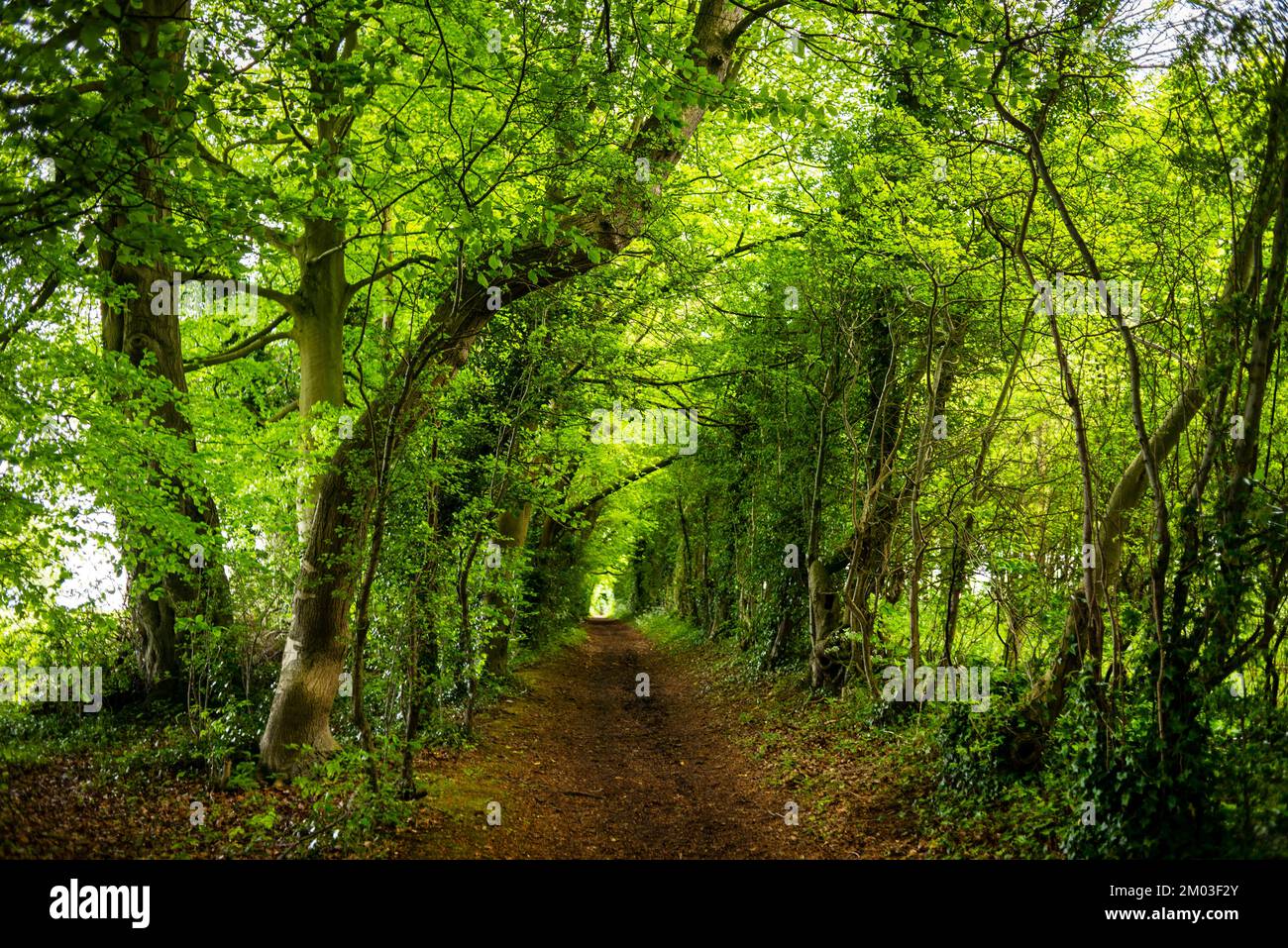 Cotswold Way public walking paths open to the public across South West ...