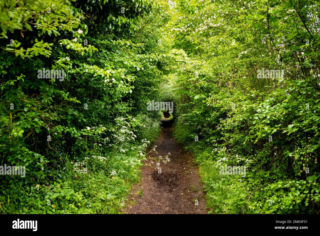 Walking trails in the Cotswold National Landscape public footpaths in ...