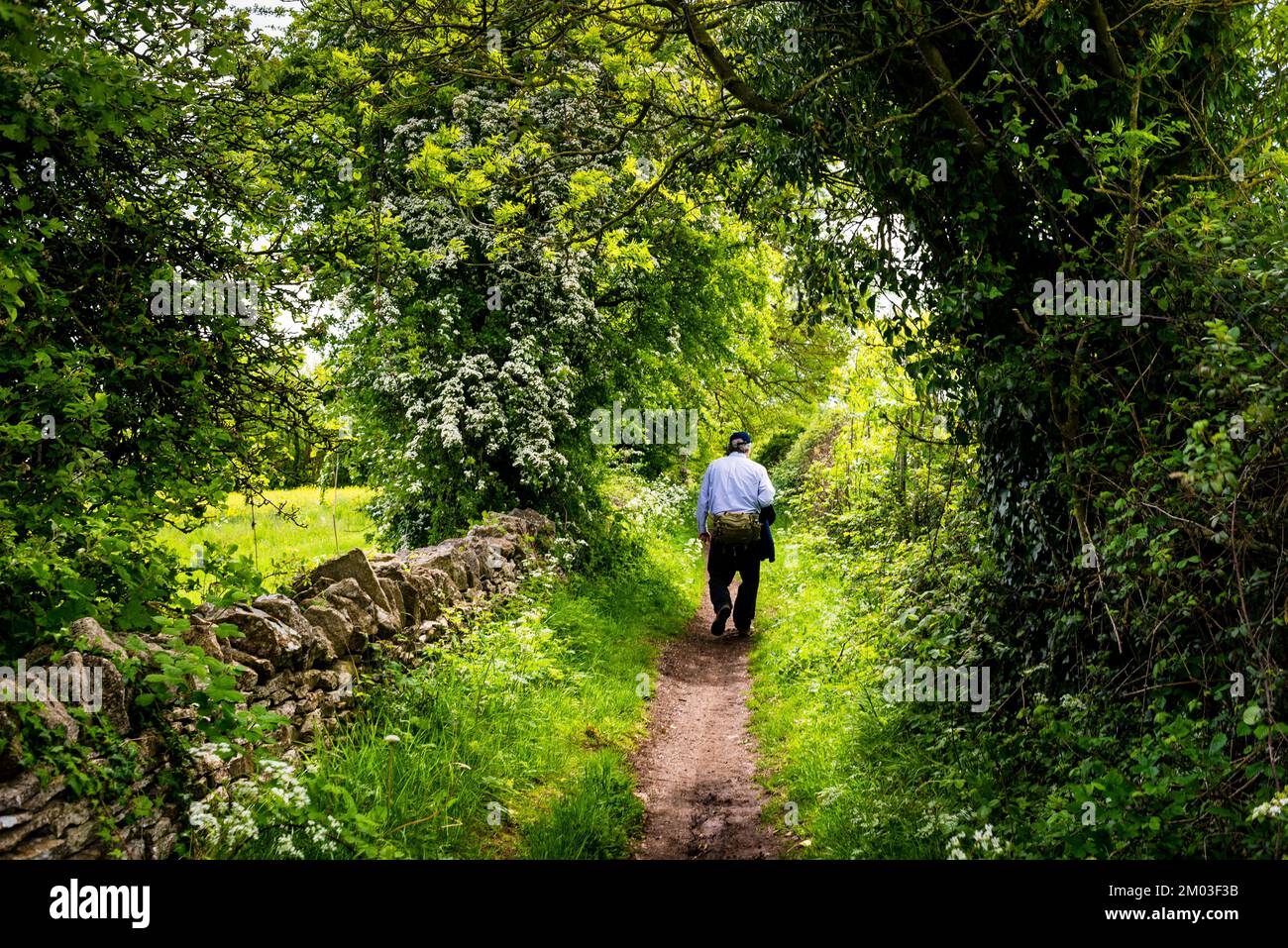Footpaths across South West England open to the public on the Cotswolds ...