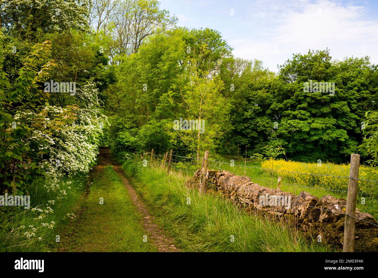 Cotswold National Landscape walking paths open to the public across ...