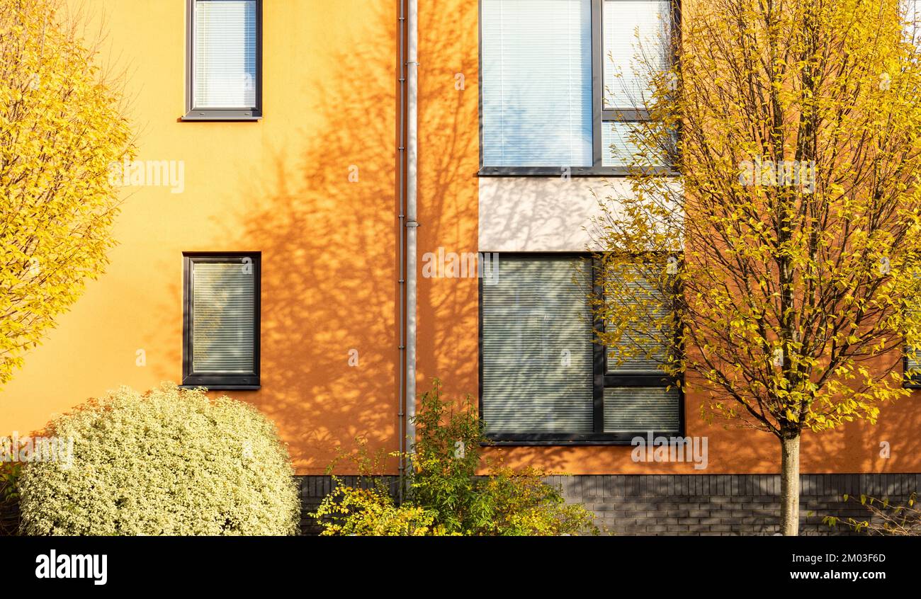 Autumn colours and shadows Stock Photo - Alamy