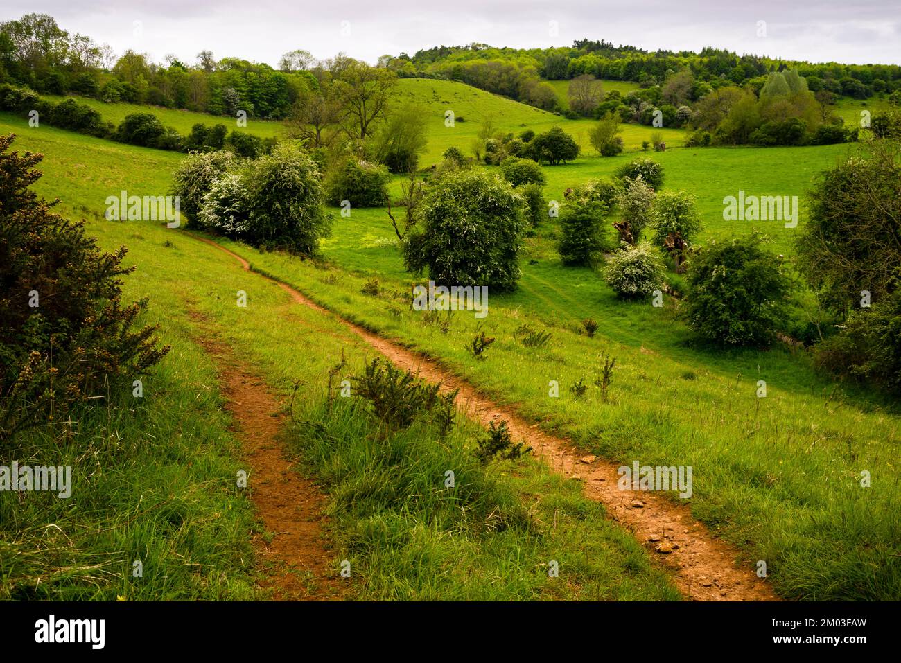 The Cotswold Way ancient walking footpaths open to the public across ...