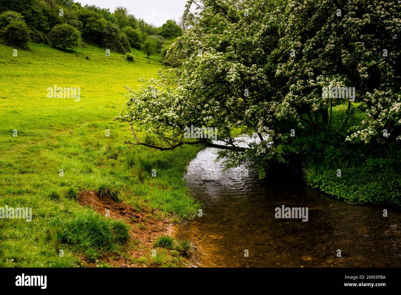 English stream on the Cotswold Way public footpaths across South West ...