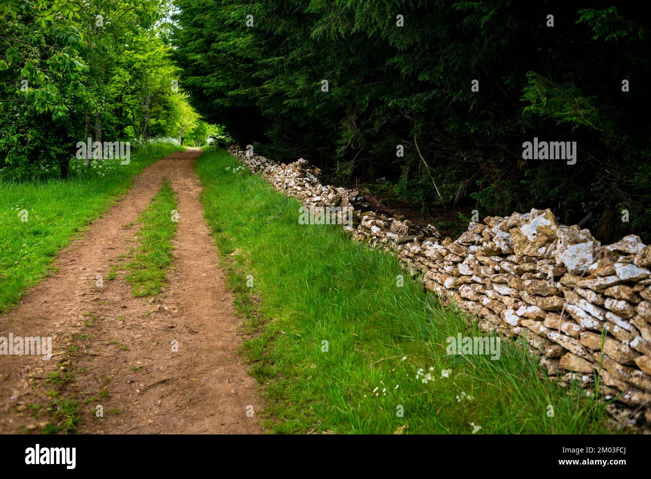 Remote walking path in the Cotswold National Landscape in England where ...
