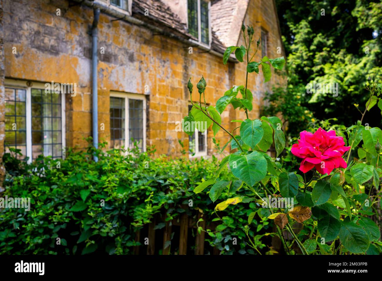 Cotswold limestone cottages along the Cotswold Way in the Stanton Stock ...