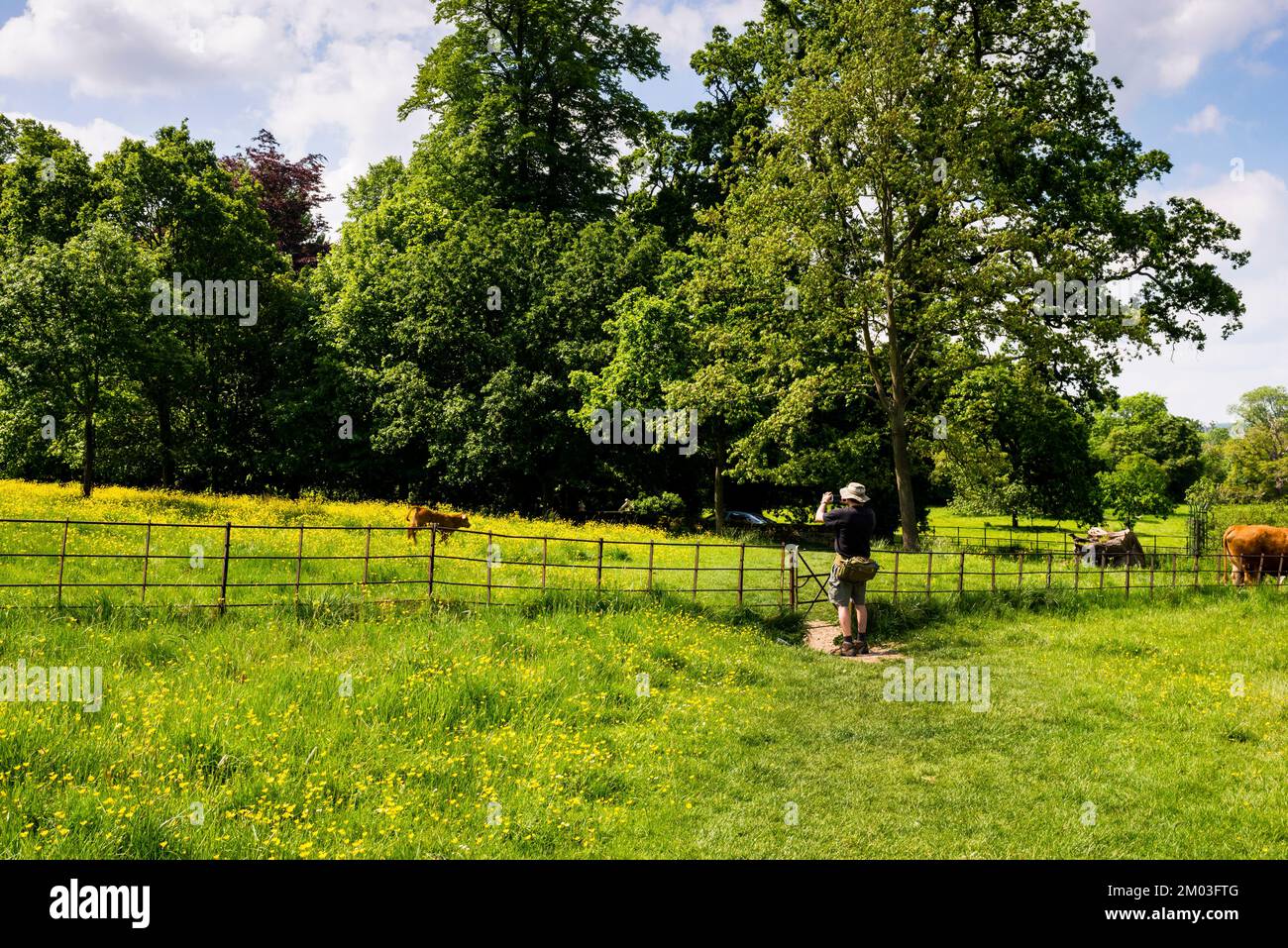 Cotswolds edge escarmpment hi-res stock photography and images - Alamy