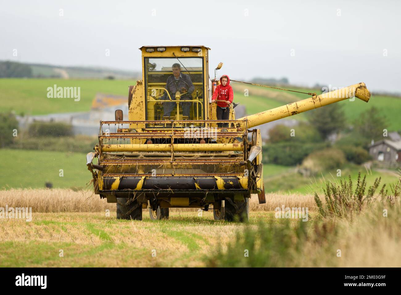 New holland combine harvester hi-res stock photography and images - Alamy