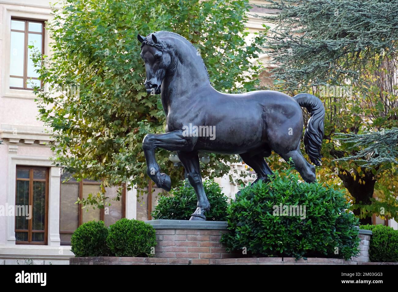 Leonardos horse hi-res stock photography and images - Alamy