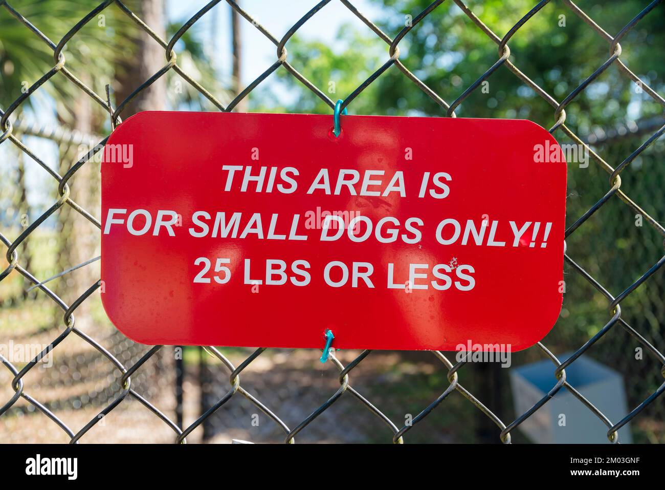 Red sign on a chain link fence with This area is for small dogs only 25 ...