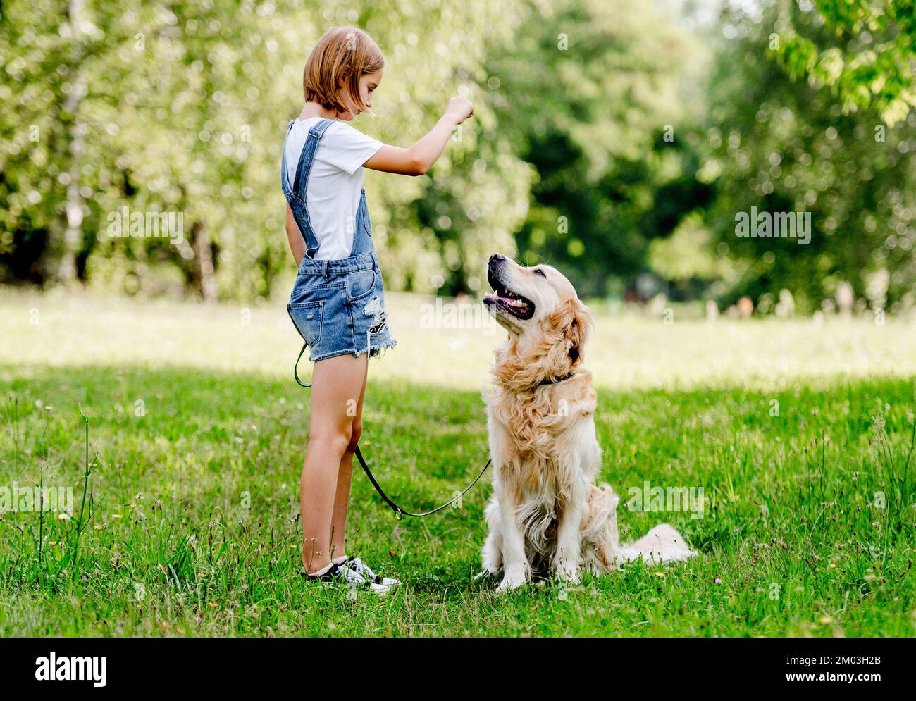 Cute little girl with lovely dog Stock Photo - Alamy