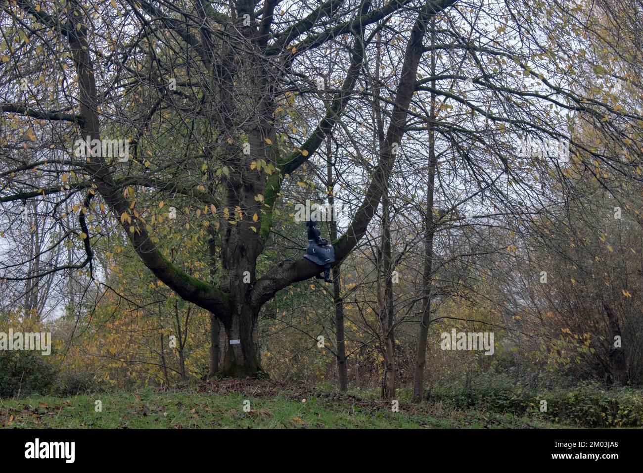 The Winter Watcher at Barnwell Country Park – Denise de Cordova, 2022 ...