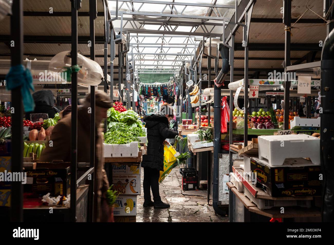 Picture of stalls selling fruits, vegetables in Kaleniceva pijaca green ...