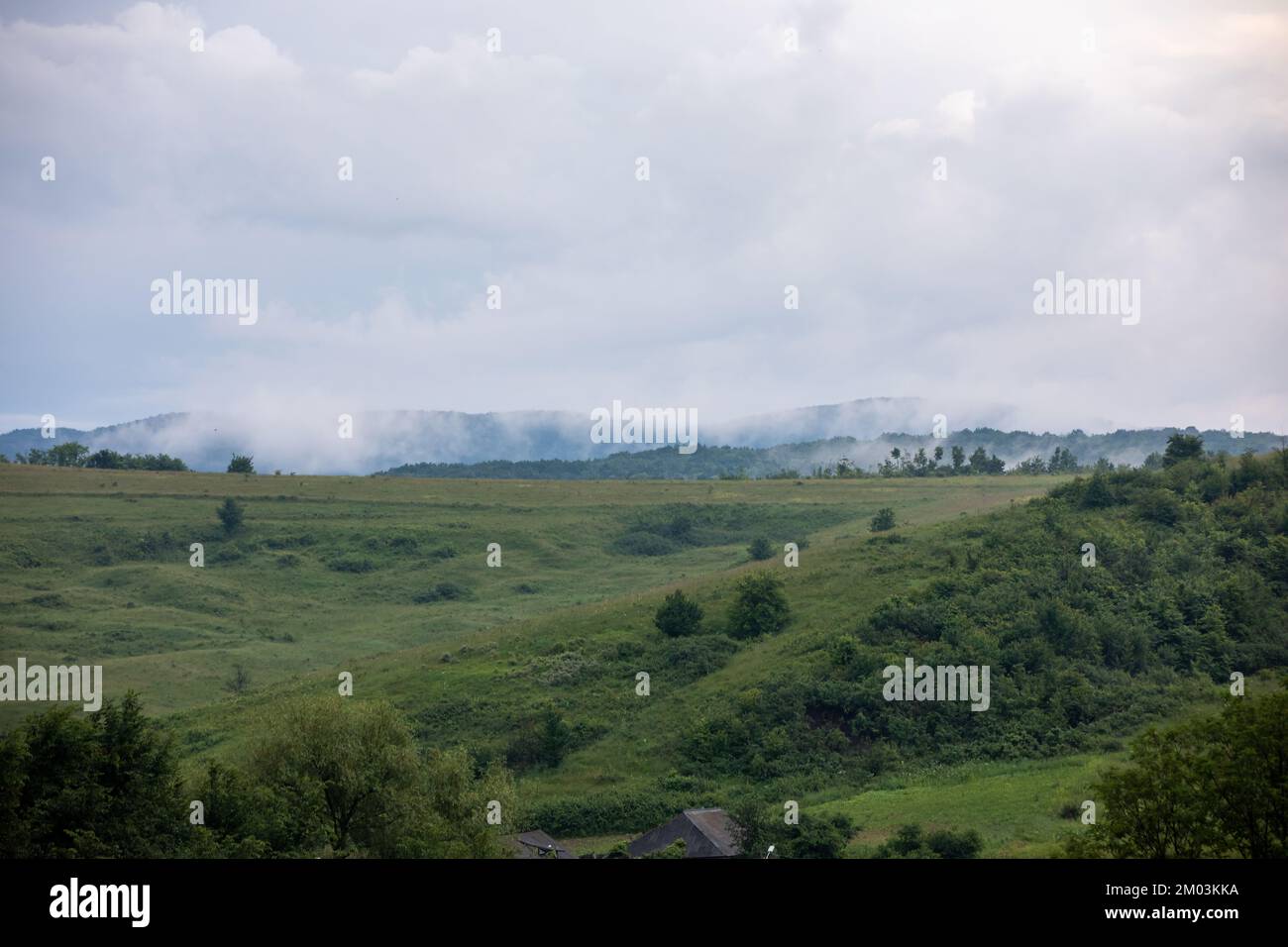 View of rural Romania, with green fields and farm animals Stock Photo ...
