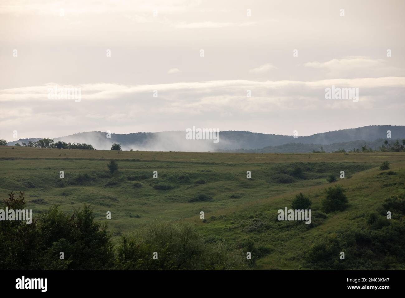 View of rural Romania, with green fields and farm animals Stock Photo ...