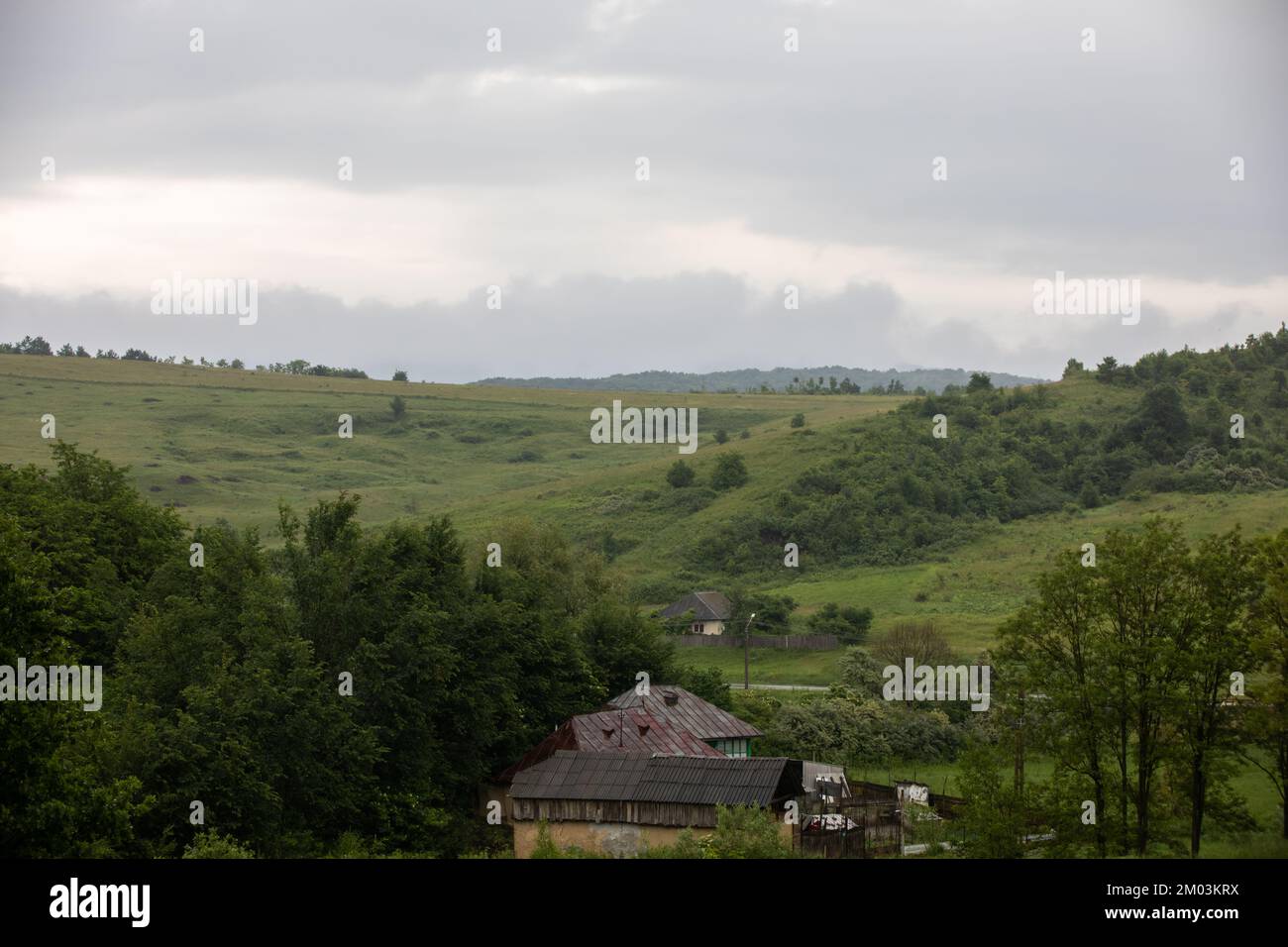 View of rural Romania, with green fields and farm animals Stock Photo ...