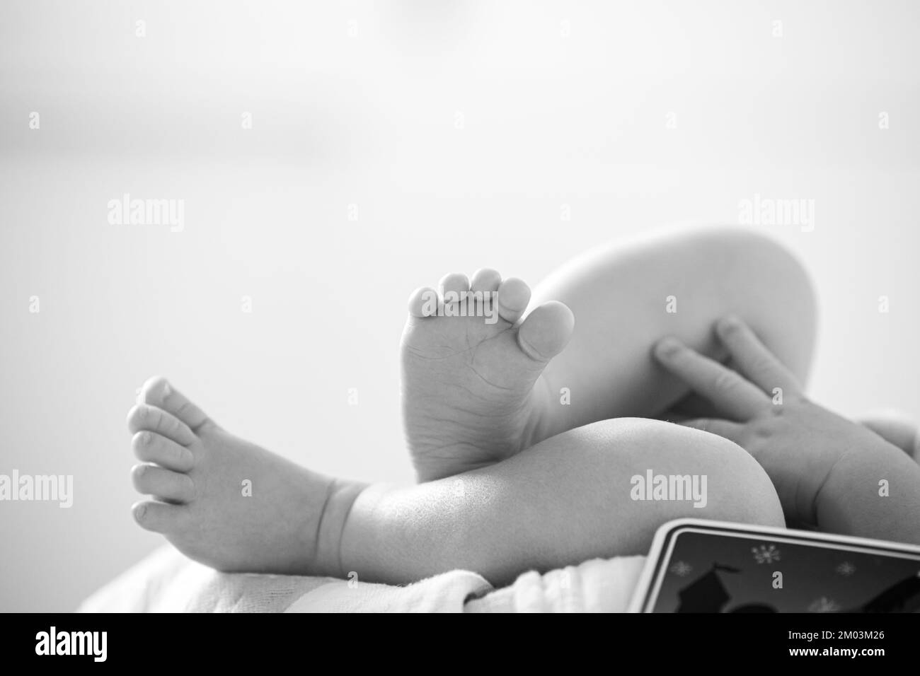Close-up of a newborn baby with focus on different body parts Stock ...