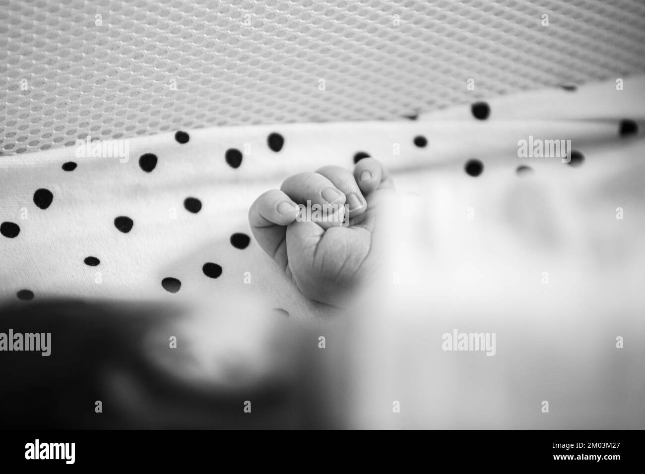 Close-up of a newborn baby with focus on different body parts Stock ...