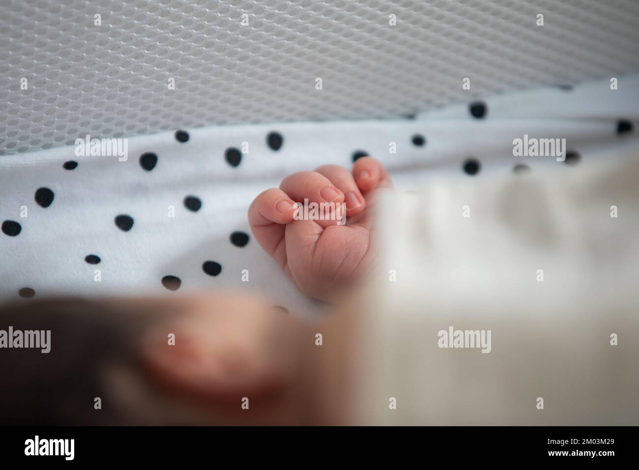 Detail different body parts hi-res stock photography and images - Alamy