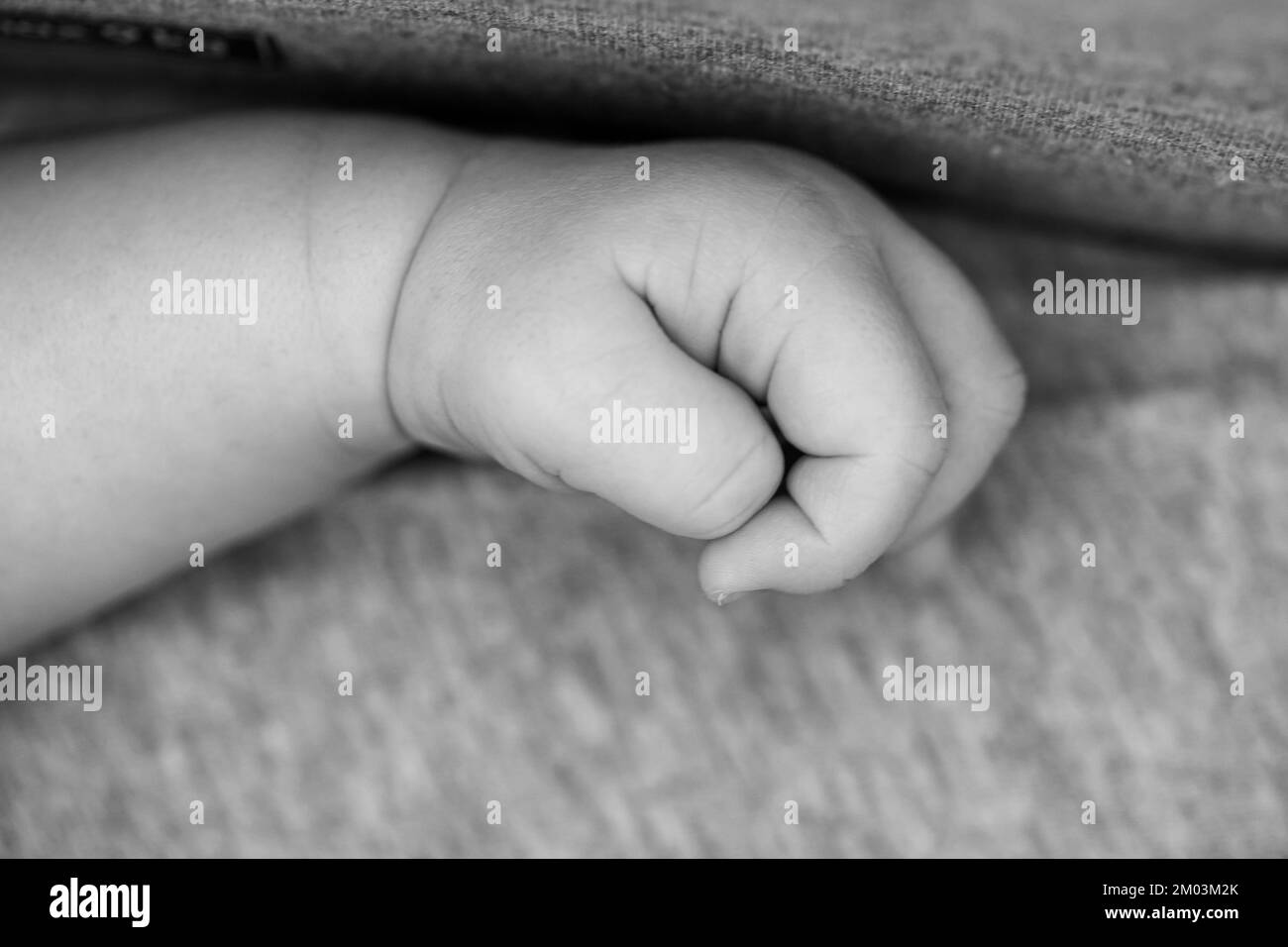 Close-up of a newborn baby with focus on different body parts Stock ...