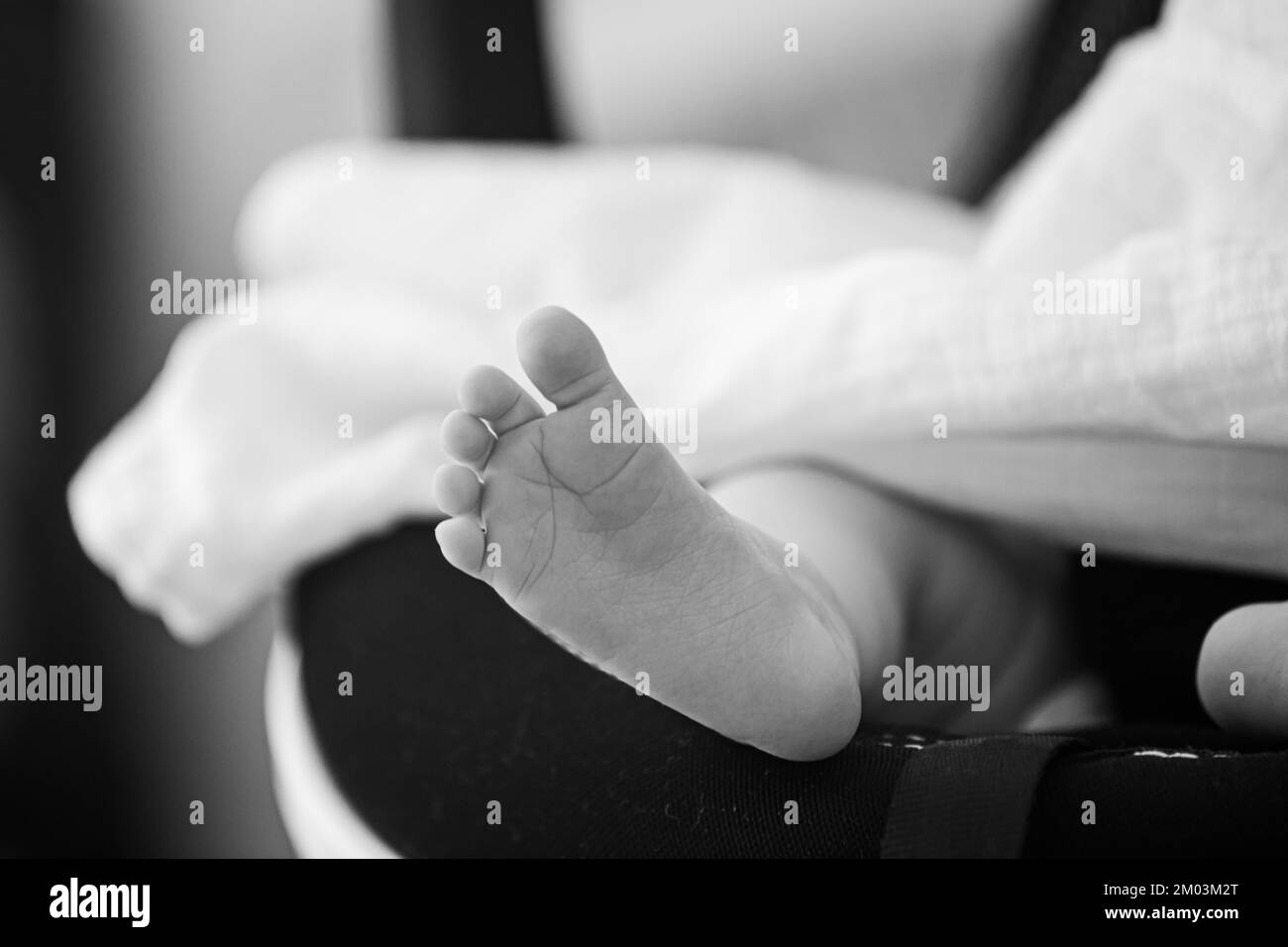 Close-up of a newborn baby with focus on different body parts Stock ...