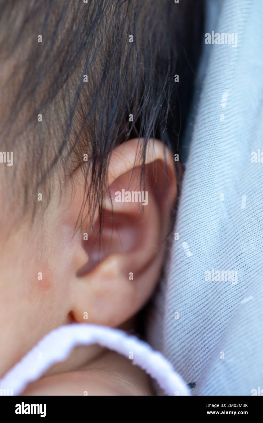 Close-up of a newborn baby with focus on different body parts Stock ...