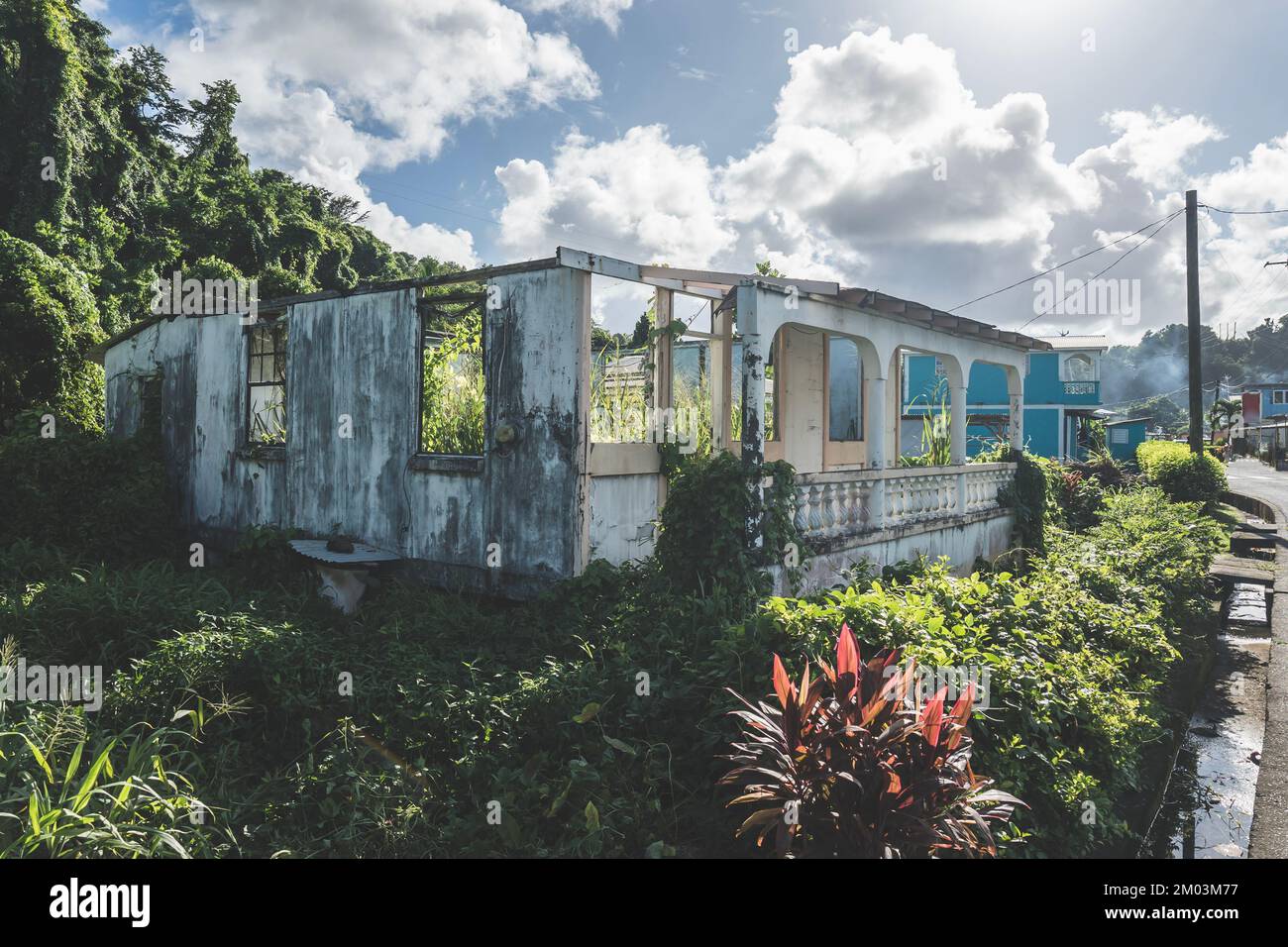 Ruined and destroyed building with overgrown plants around. Frame ...