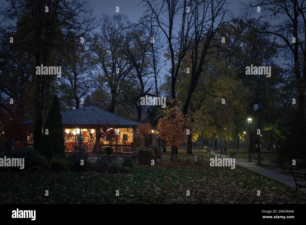 Picture of an alley of the city park of Pancevo, in serbia, surrounded ...