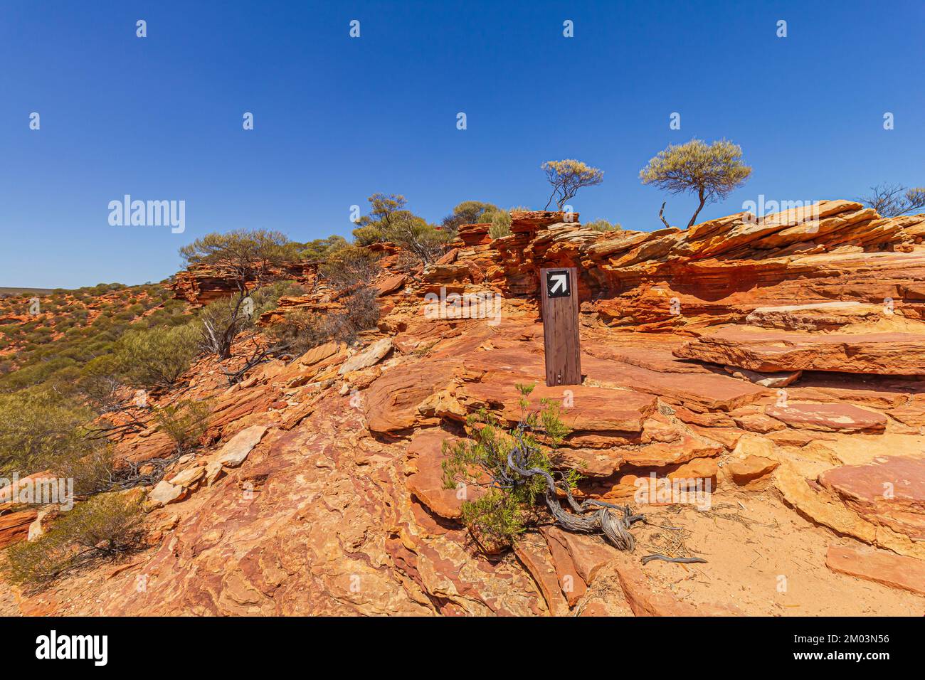 Trail marking post and stunted, sturdy trees on reddish sandstone marks ...