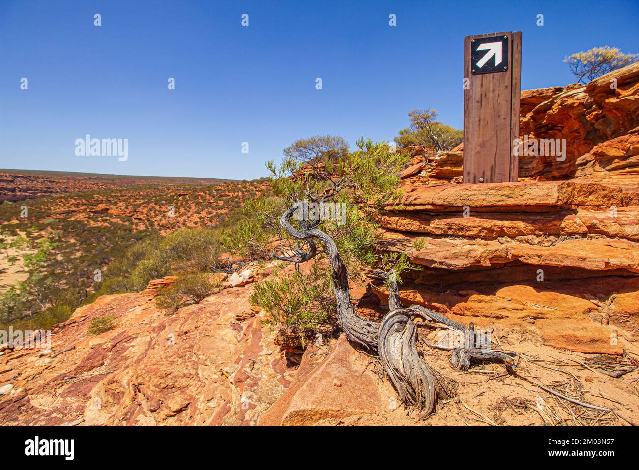 Trail marking post and stunted, sturdy trees on reddish sandstone marks ...