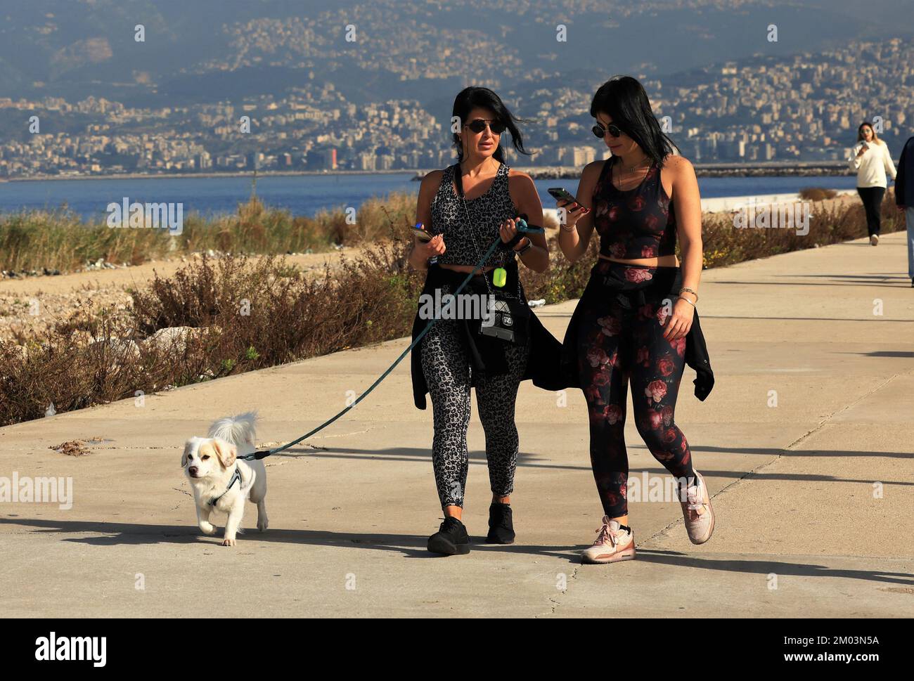 Beirut, Lebanon. 3rd Dec, 2022. Two young women walk a dog on the coast ...