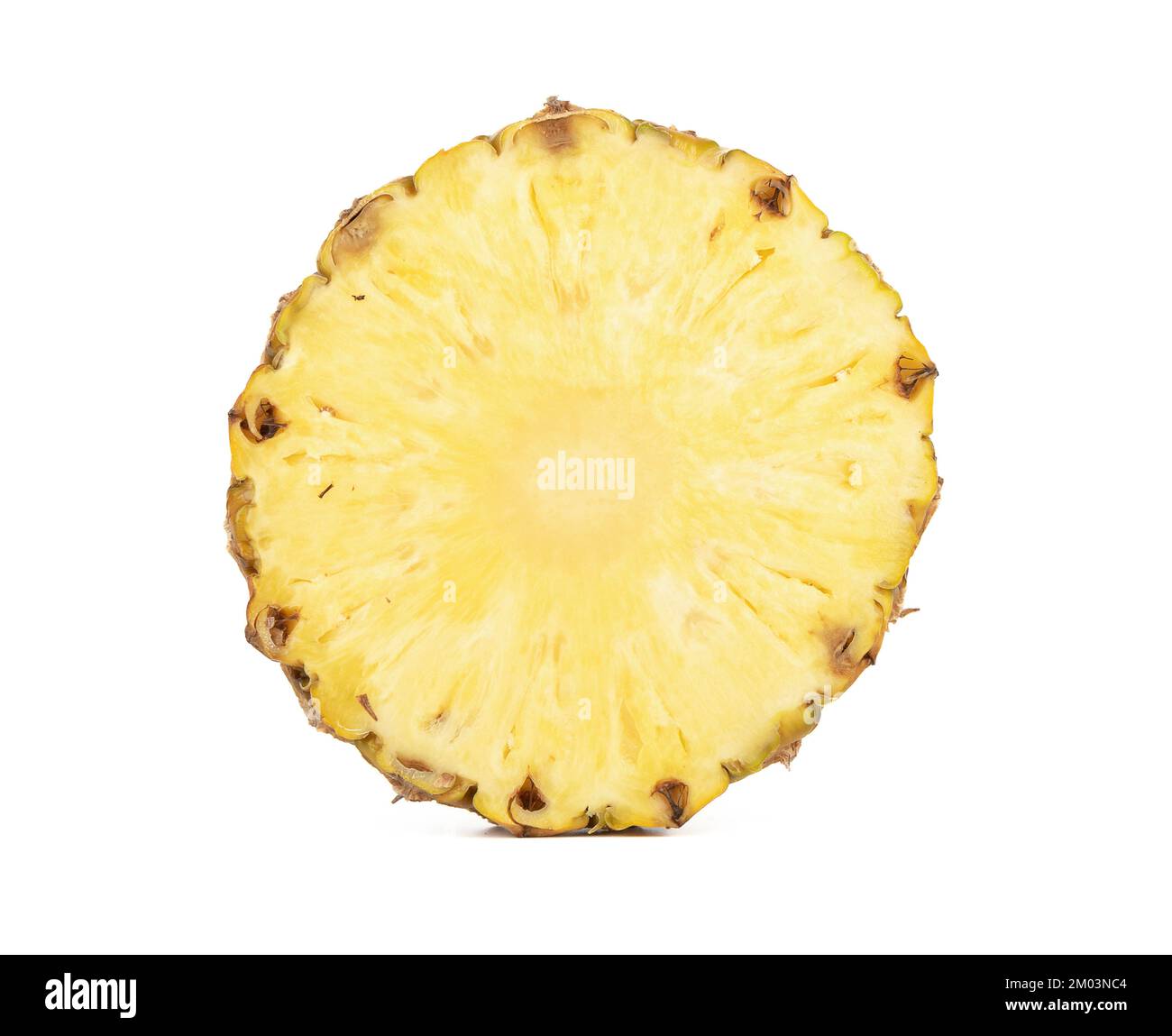 Cut circle of ripe pineapple is isolated on a white background. Copy ...