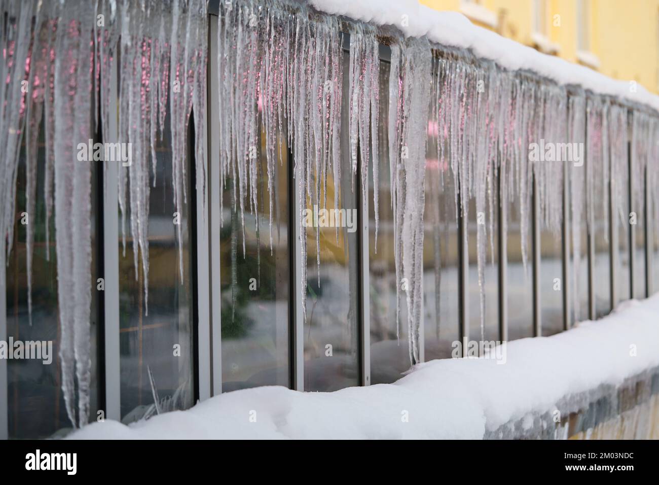 Frozen icicles hanging from roof on glasshouse. Snow melting during early spring and snowbreak ...
