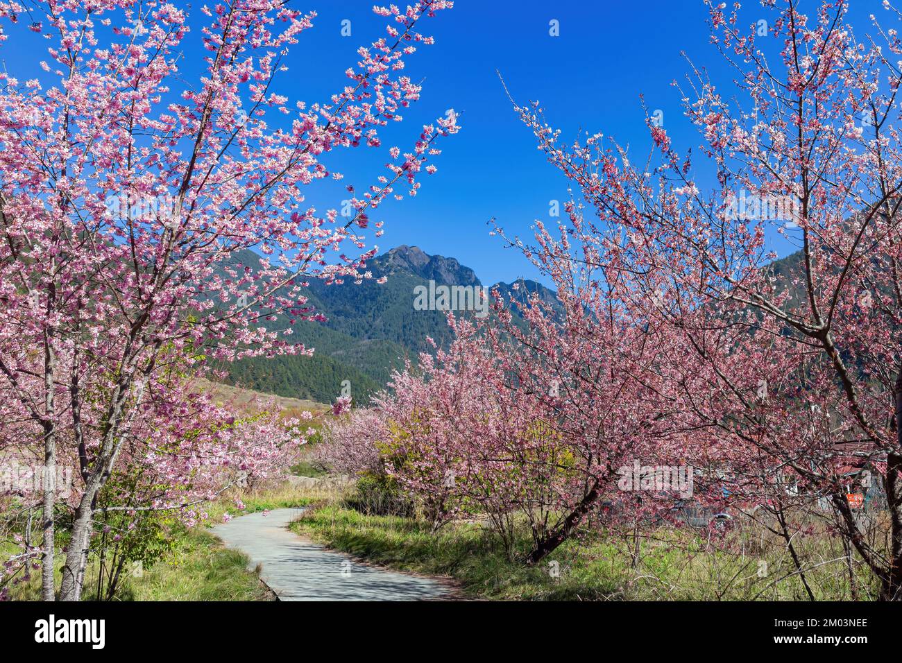 Wuling mountain district hi-res stock photography and images - Alamy