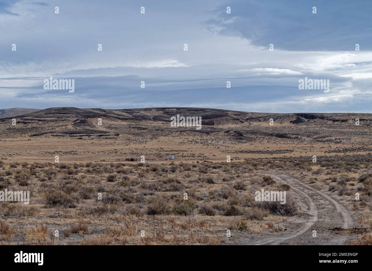 Dirt road curves through a desert ranch in western Nevada, USA Stock ...