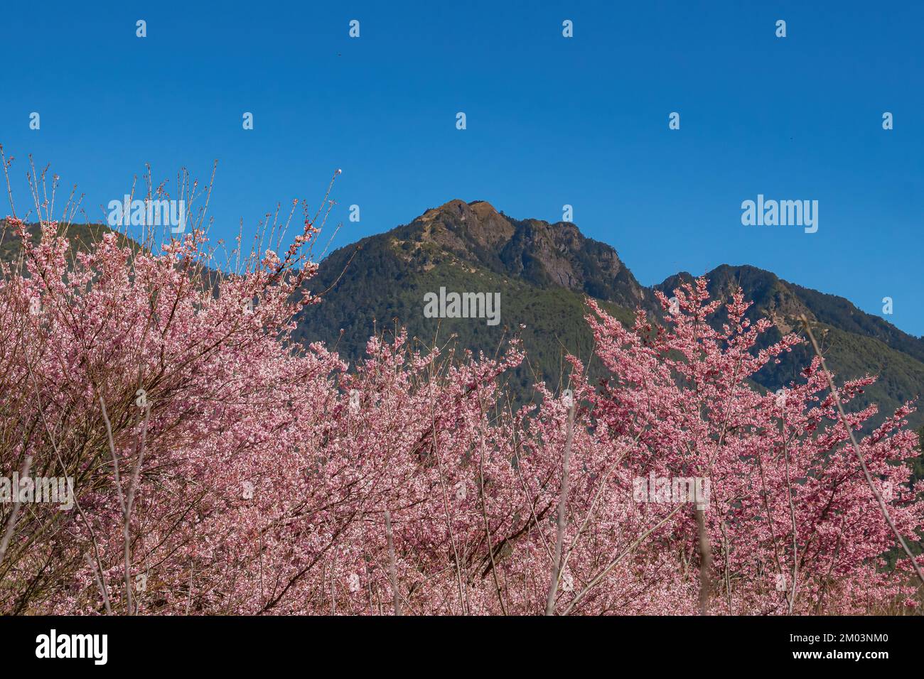 Wuling mountain district hi-res stock photography and images - Alamy