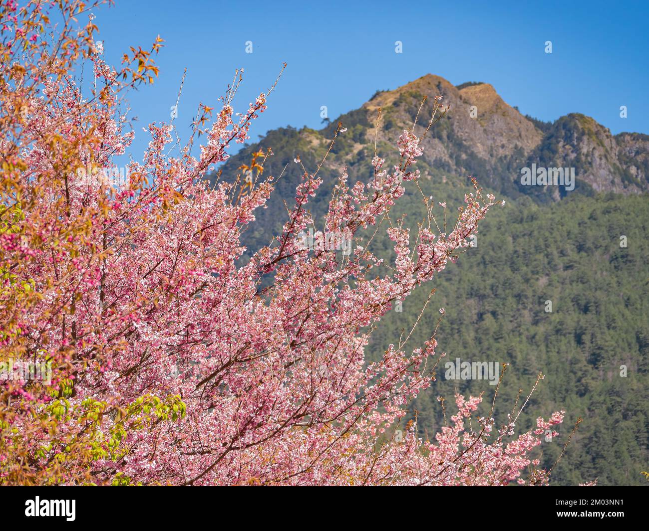 Wuling mountain district hi-res stock photography and images - Alamy