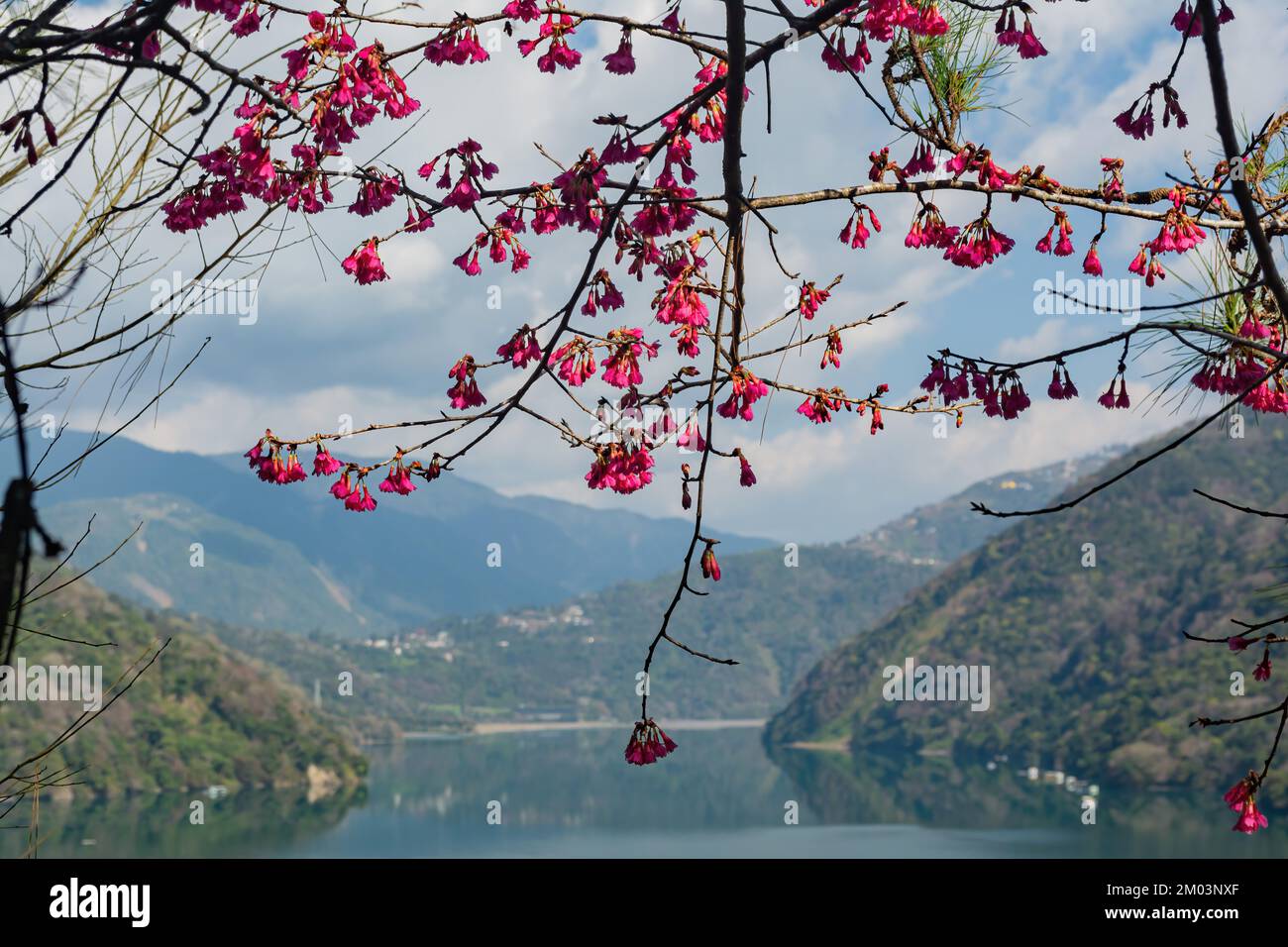 Sunny view of the Wushe Reservoir at Nantou, Taiwan Stock Photo - Alamy