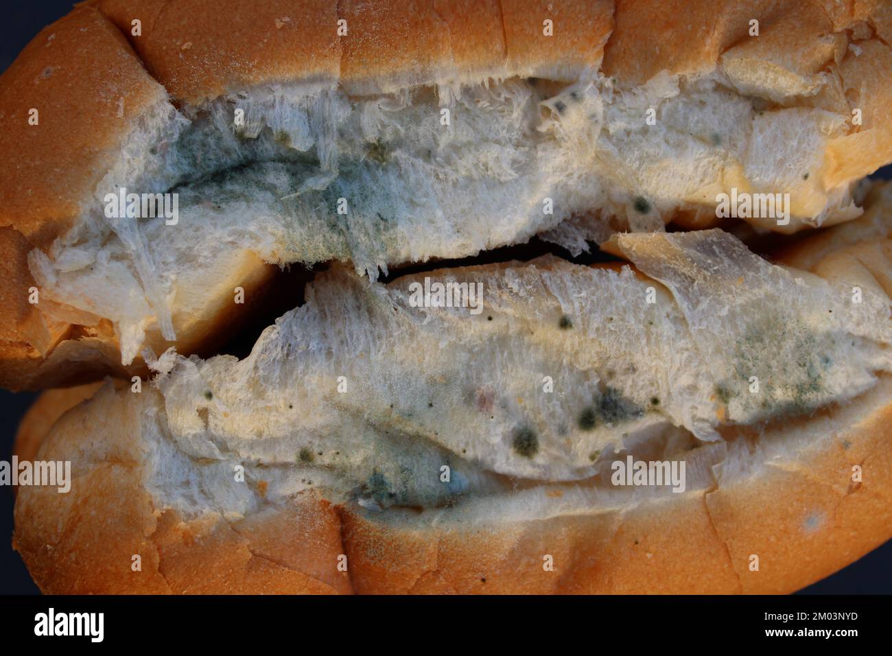 Mold Spots on the Side of Bread Buns Stock Photo - Alamy