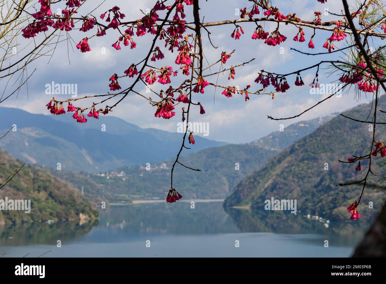 Sunny view of the Wushe Reservoir at Nantou, Taiwan Stock Photo - Alamy