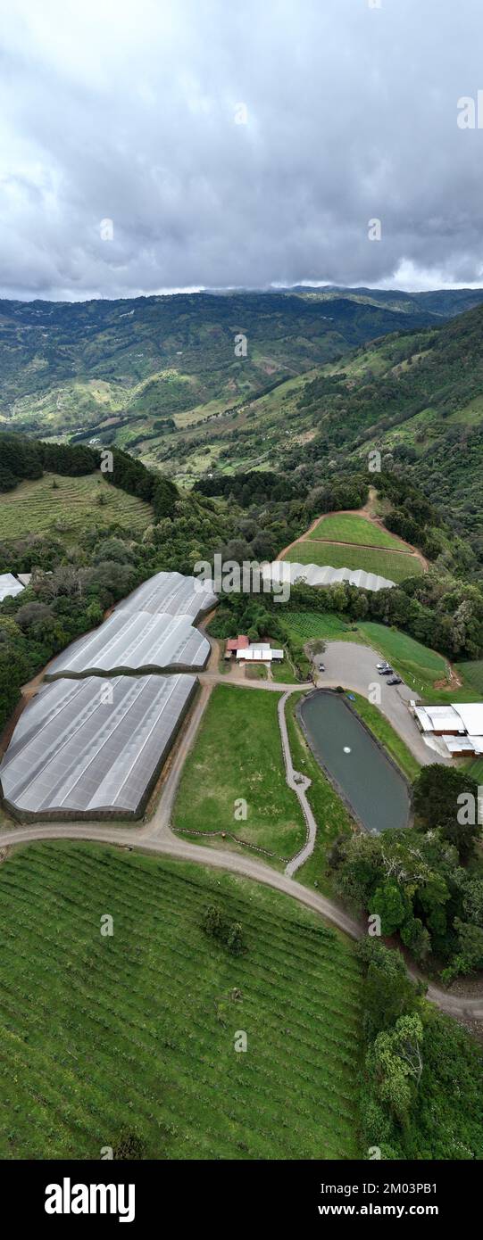 Aerial View of the Copey Winery Estates in Copey de Dota, Costa Rica ...