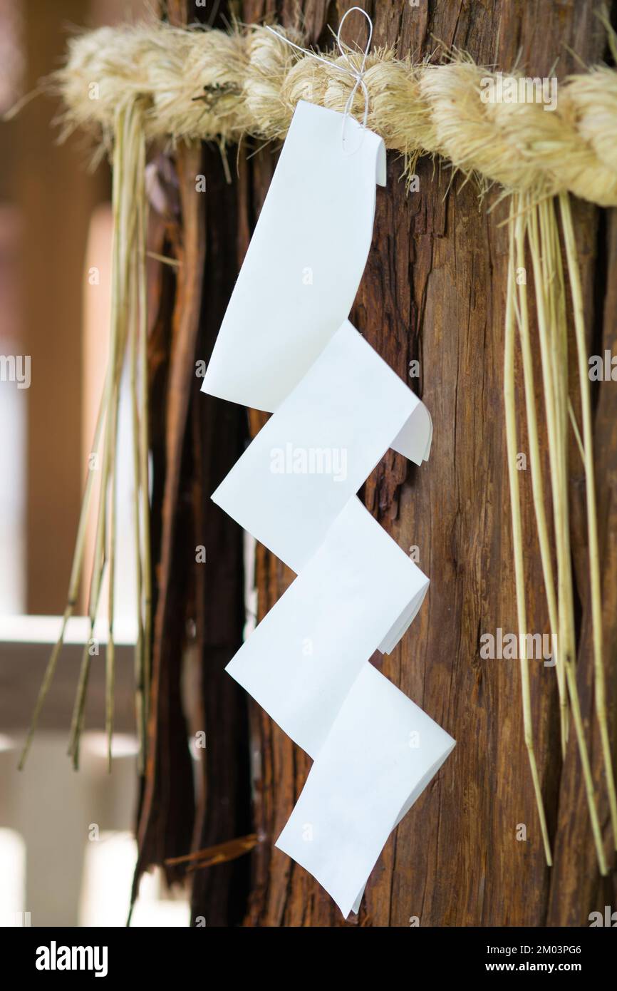 Japanese sacred tree in kyoto shinto shrine - Shimenawa no Shide Stock ...